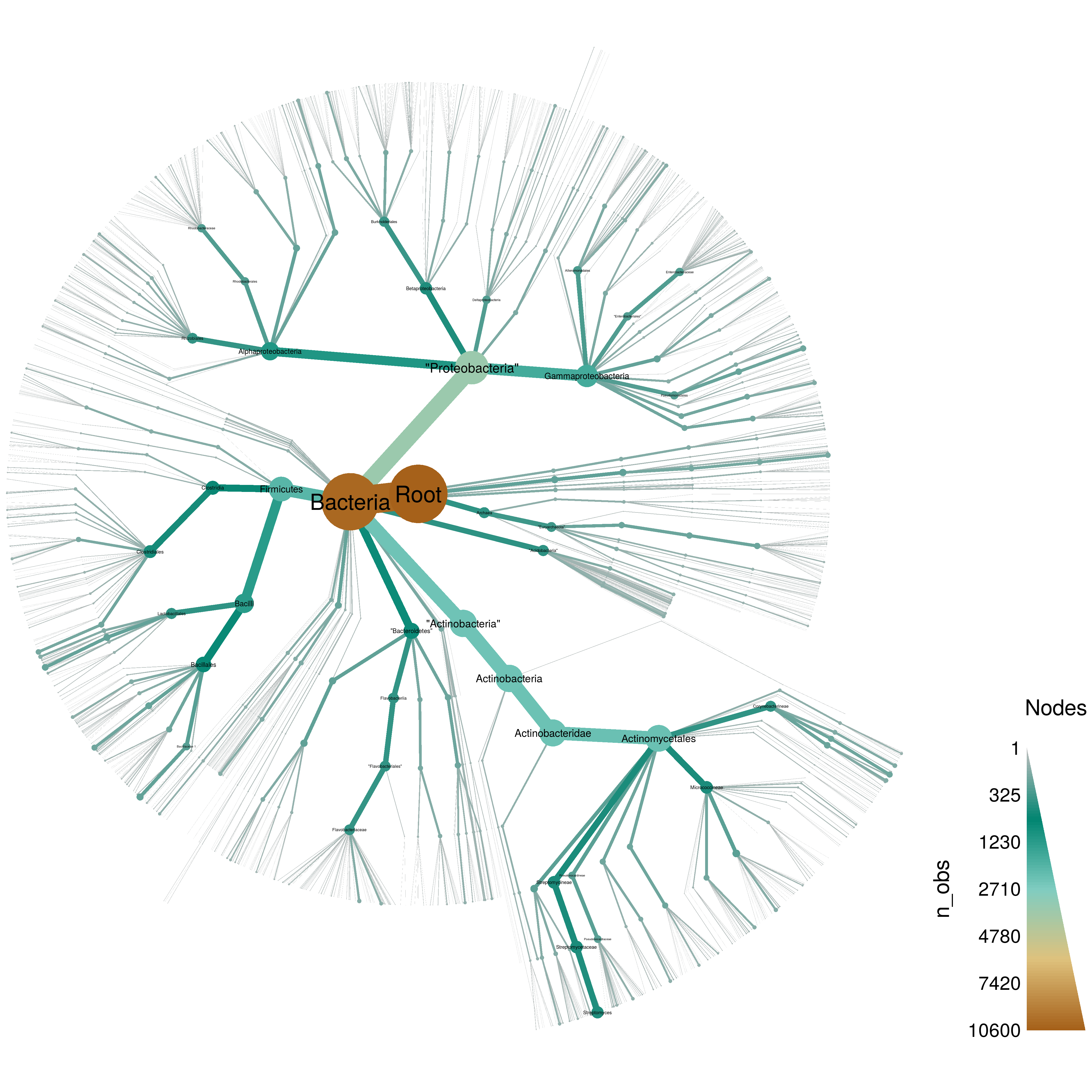 MetacodeR user documentation