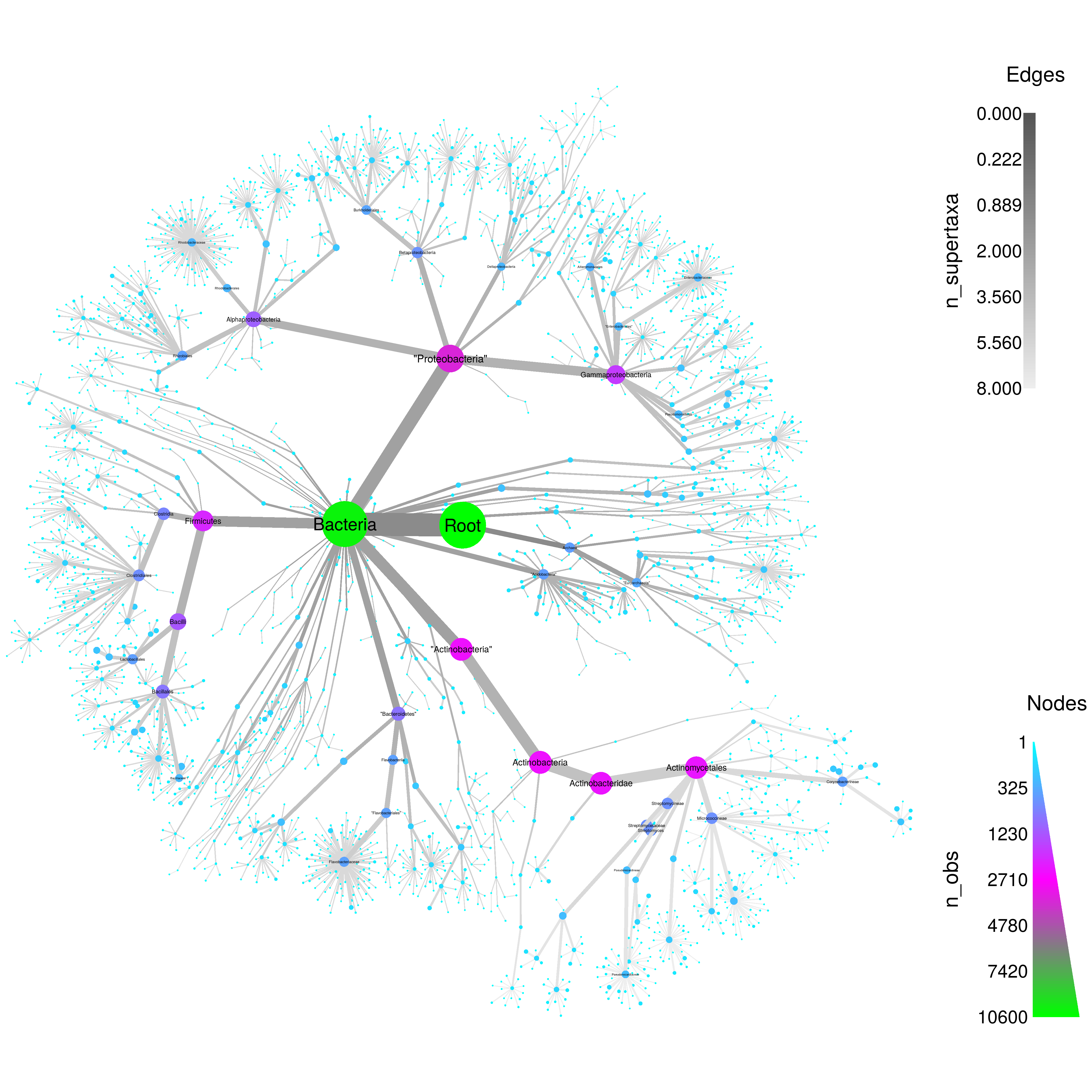 MetacodeR user documentation