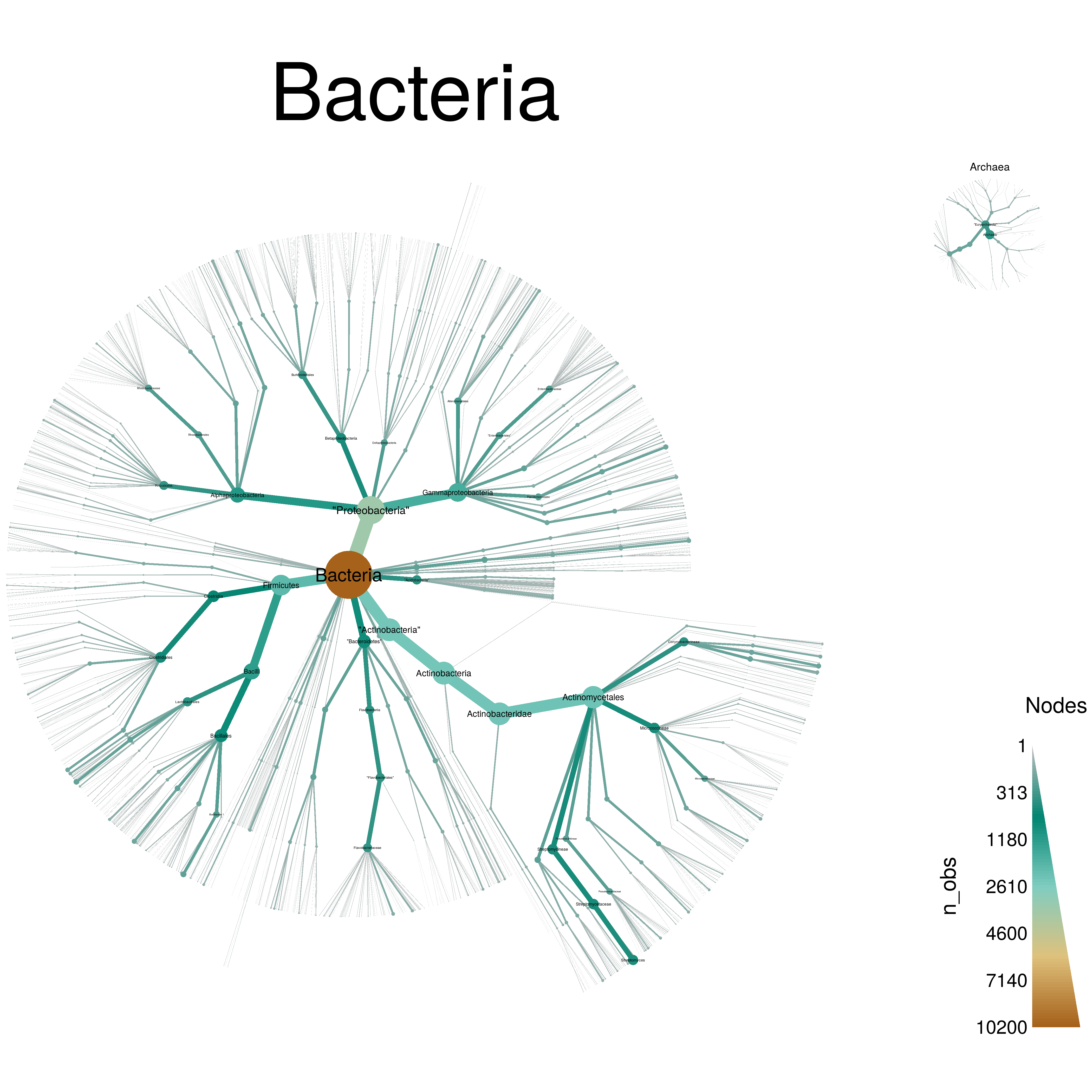 MetacodeR user documentation